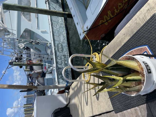 Home page - Miss Britt Sportfishing - Miami Fishing Charters